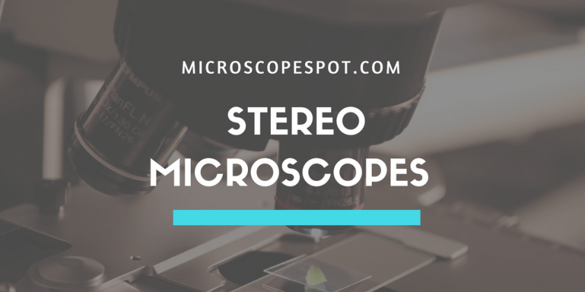 Best Stereo Microscope – A Comprehensive Guide - Microscope and ...