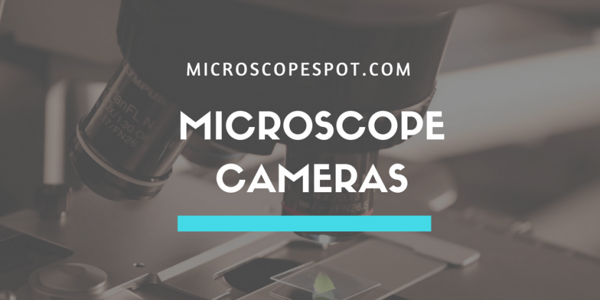 Best Microscope Cameras Reviews & Buyers Guide - Microscope and ...